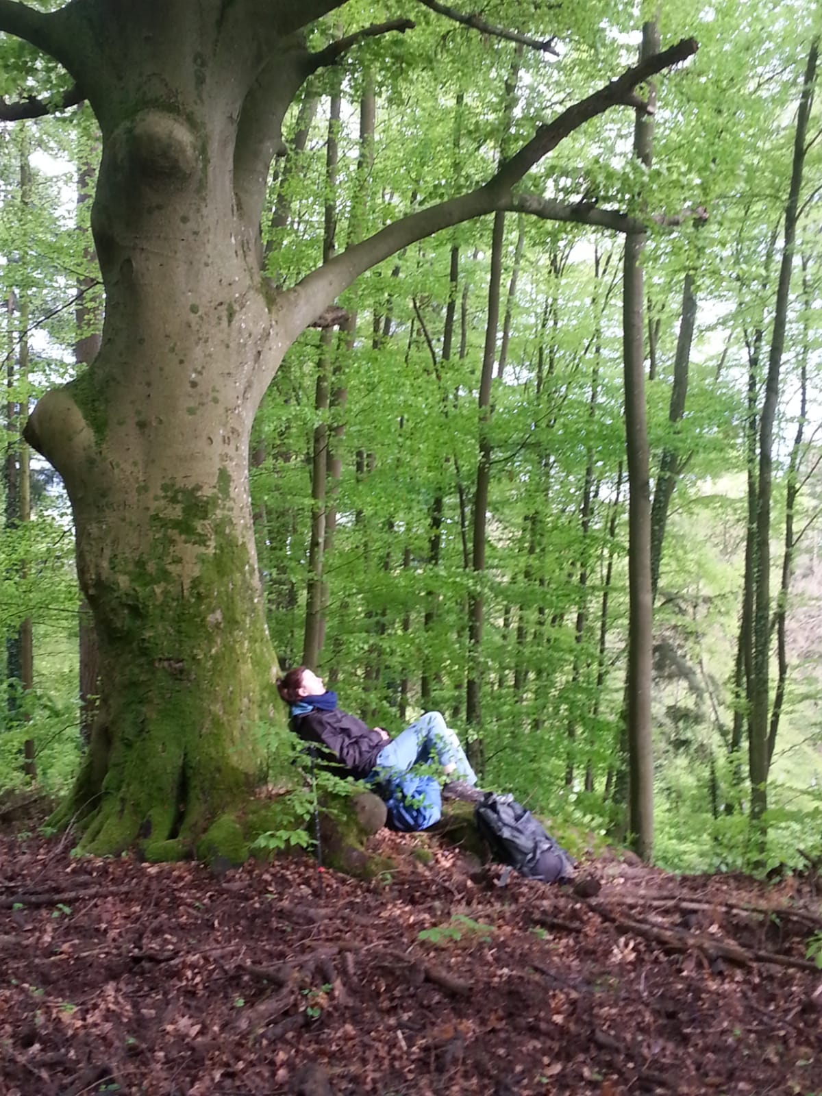 - Eigentlich - Birgit Becker · Bildende Kunst, Malerei · Kultursommer ...